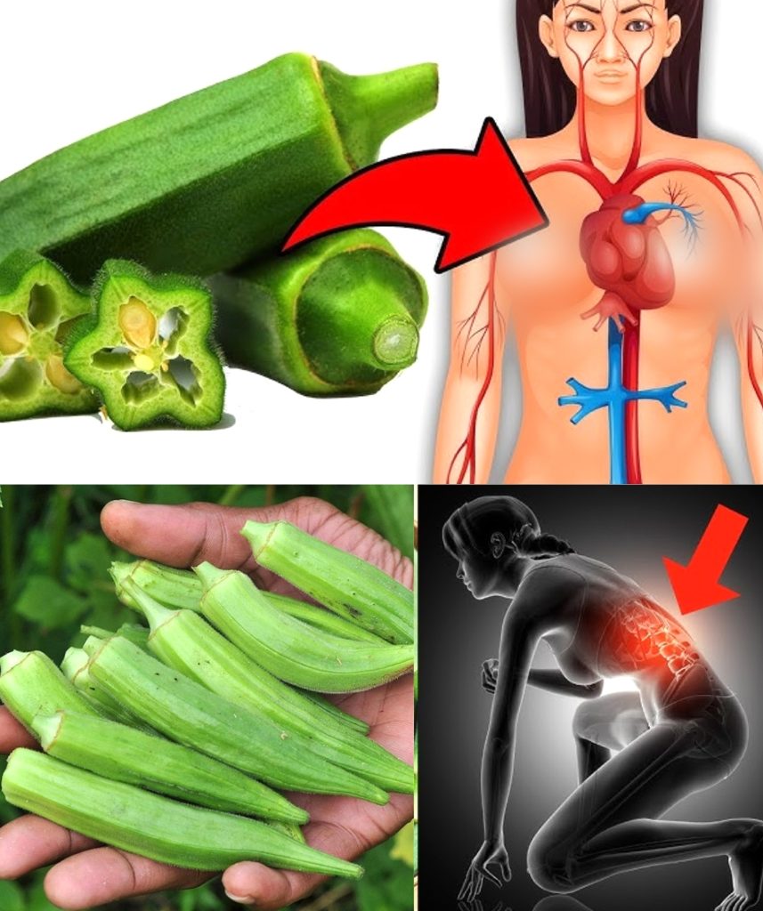 Le gombo révélé : 20 bienfaits méconnus de ce légume aux multiples ...